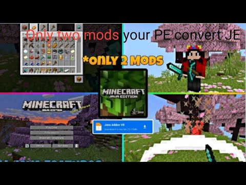 Only one mod Minecraft PE change Minecraft Java edition||how to convert Minecraft PE into java ...
