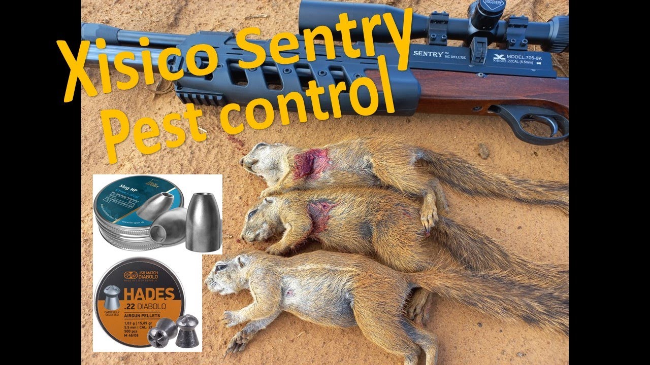 PCP pest control vol 1.0 - Xisico Sentry - YouTube