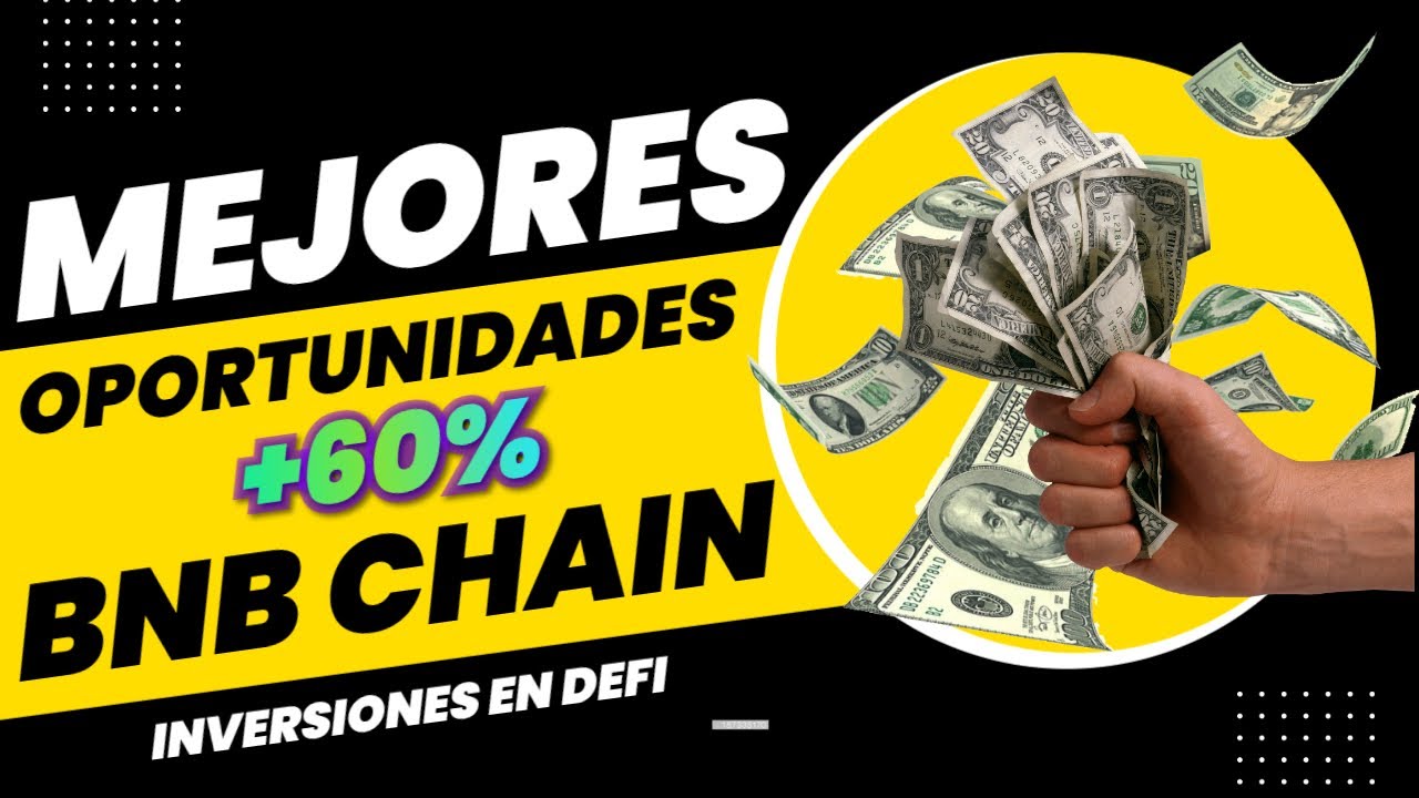 🔥MEJORES OPORTUNIDADES para INVERTIR en la BNB CHAIN - YouTube