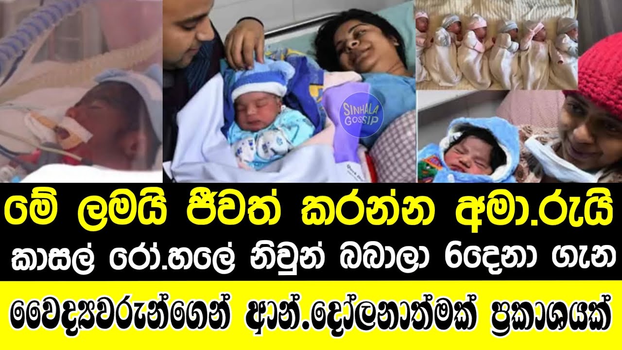 බබාලා 6දෙනා ජීවත් කරන්න අමා|රුයි|වෛද්‍යවරුන්ගෙන් ආන්|දෝලනාත්මක ප් ...