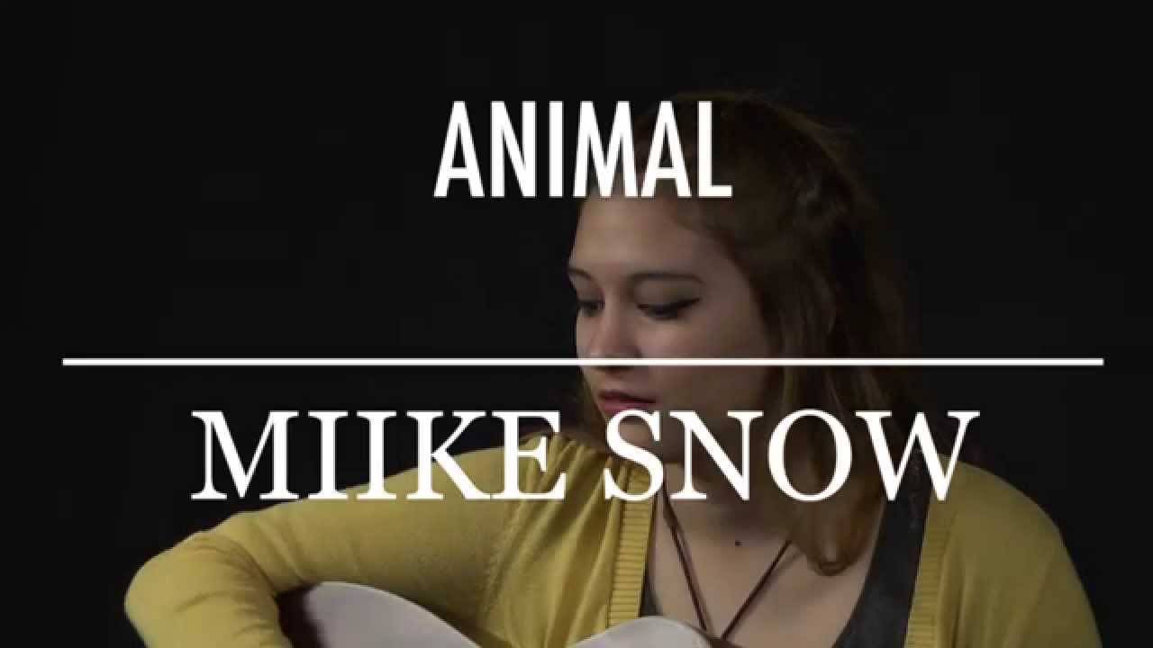 Animal - Miike Snow (Cover) - YouTube