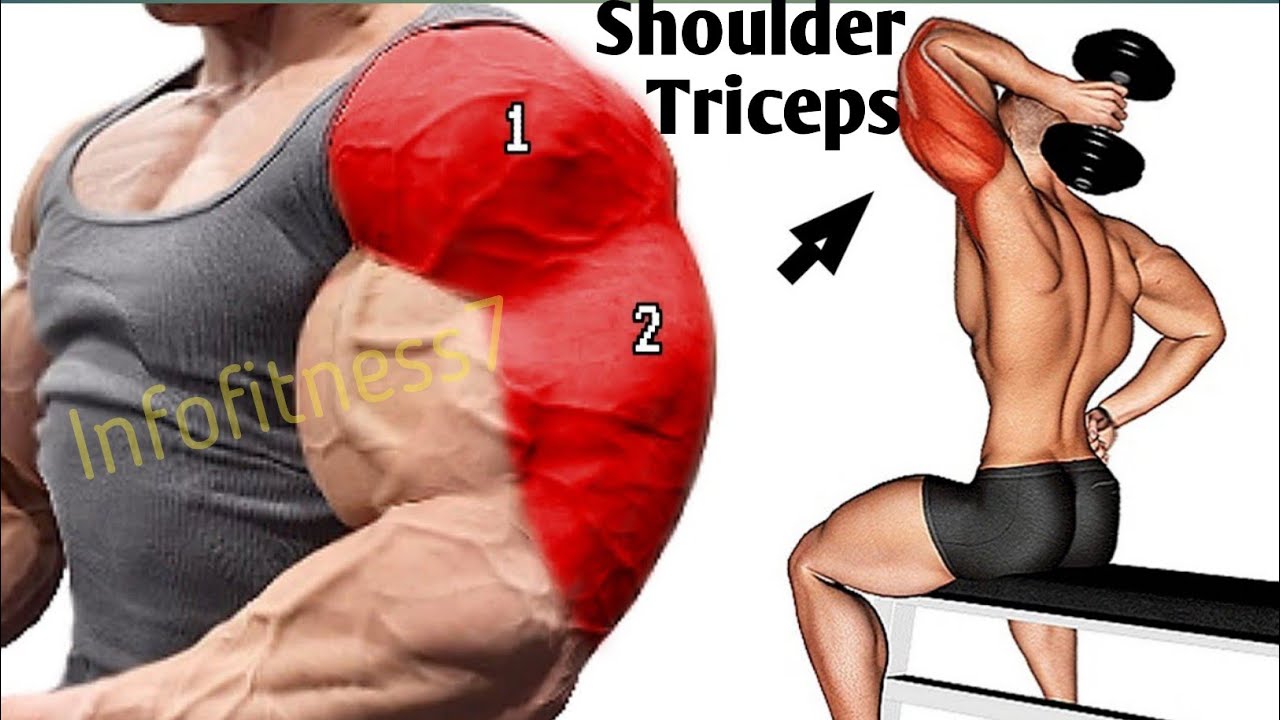 Triceps And Shoulder Workout For Routine For Bigger Gains - YouTube