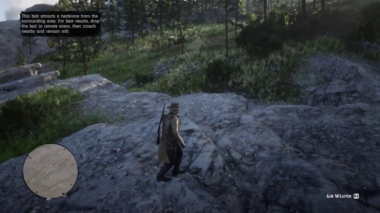 RDR2 - Western Bull Moose location near I in Ambarino (must use bait ...
