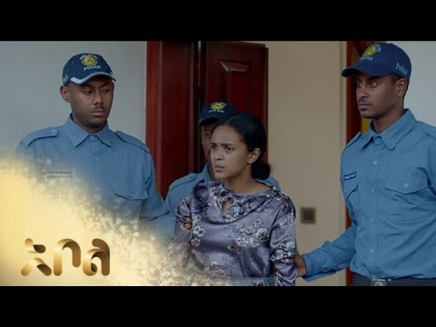 ሙሉ ክፍል 49 – አደይ | ምዕራፍ 2 ክፍል 5 | Adey 48 | አደይ ክፍል 50 | Episode 47 ...