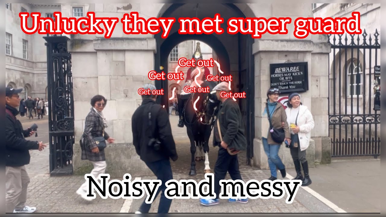 ITS IDIOTS AGAIN . Very noisy and running around but “GOT A PROPER ...
