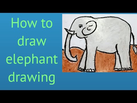 How to draw elephant drawing - YouTube