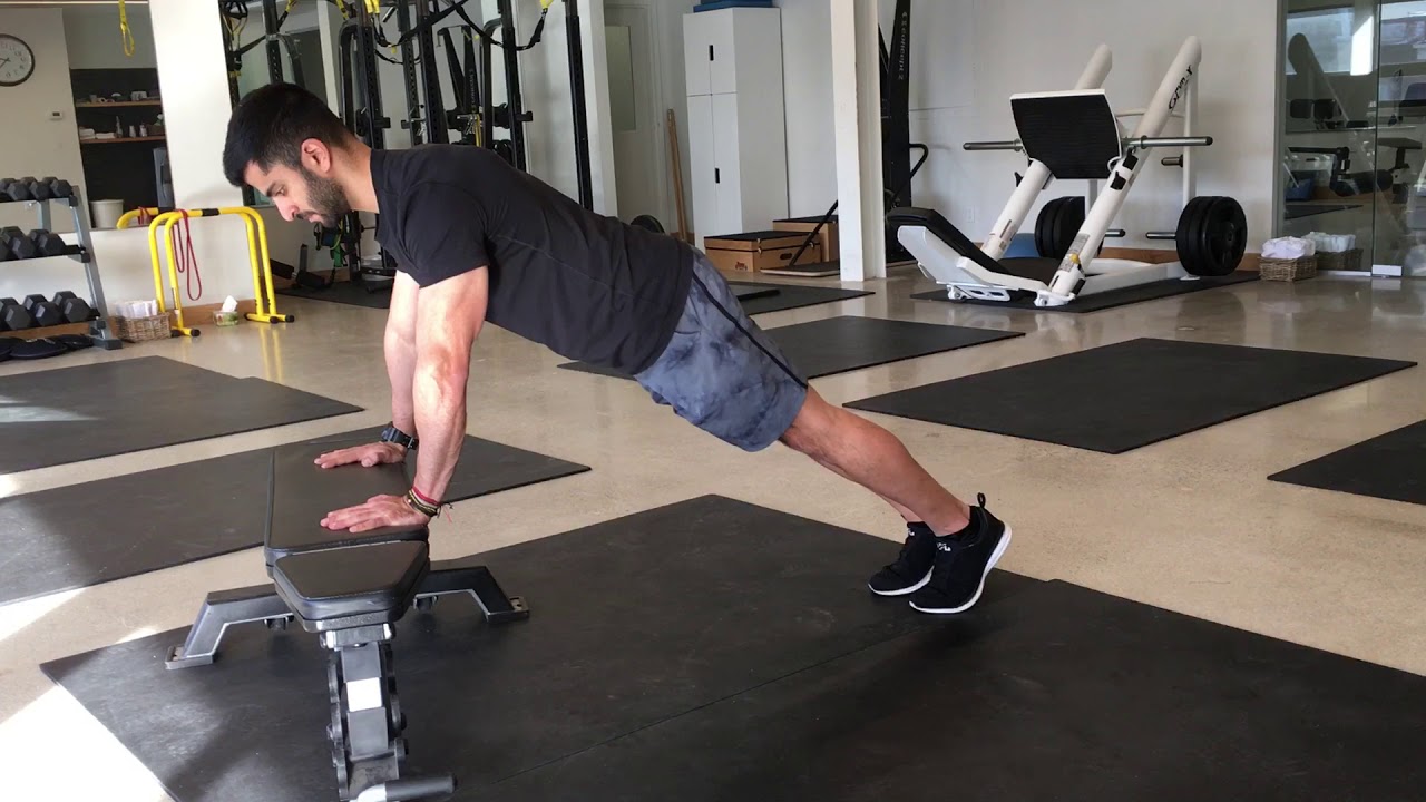 Hands Elevated Plank with Alternating Leg Lift - YouTube