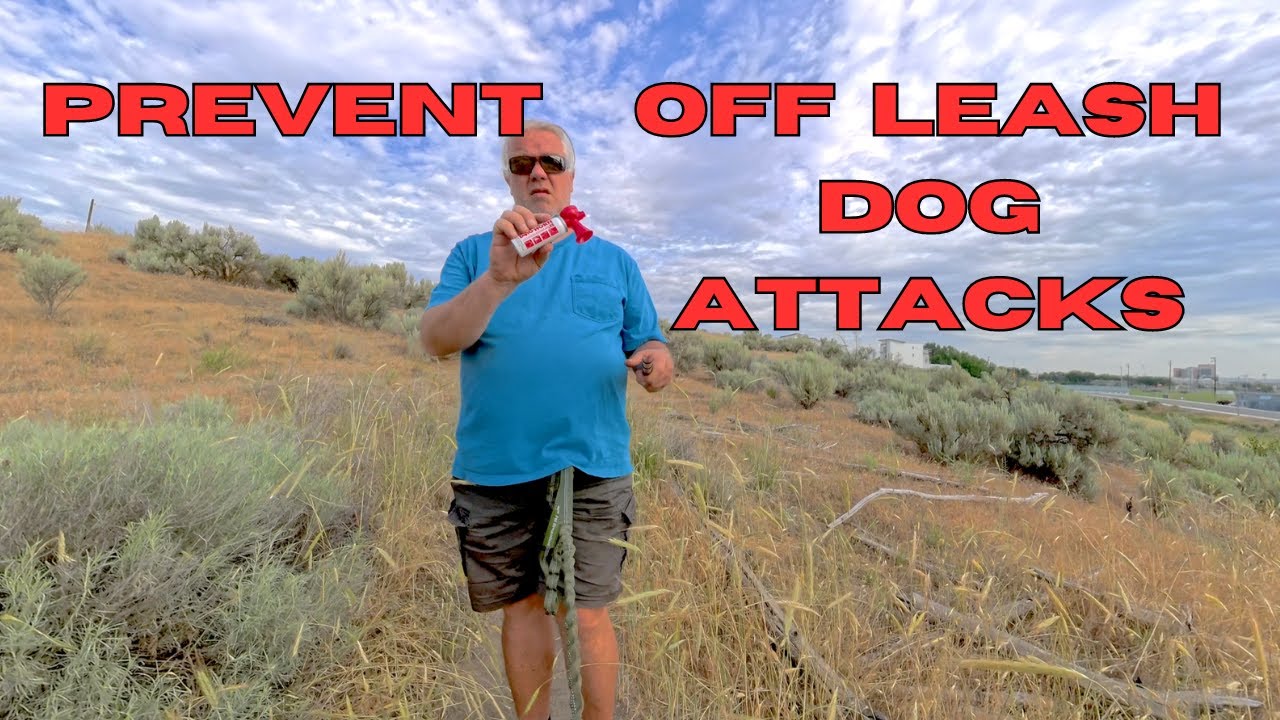 Prevent off leash dog attack. - YouTube