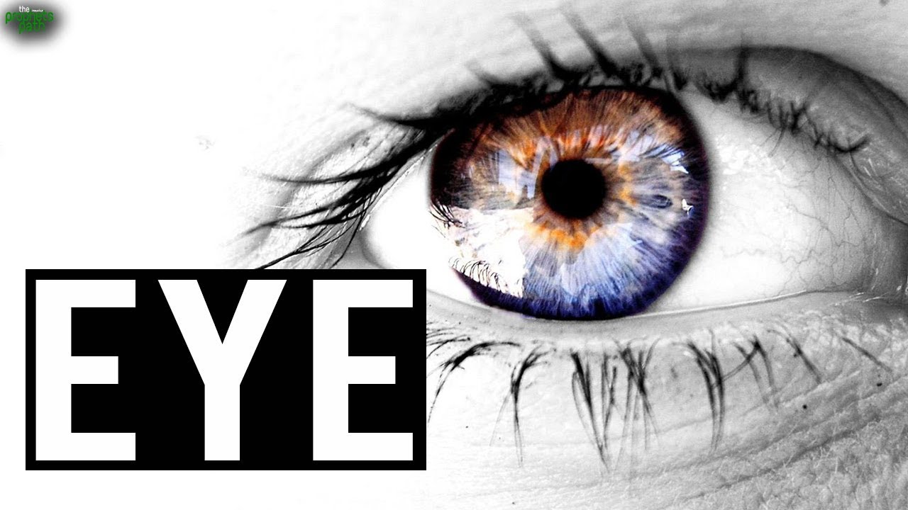 THE EYE (Powerful Video) - YouTube