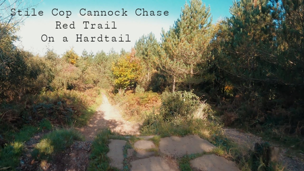 MTB, Very Fast Red Run at Stile Cop Downhill trail, on a Hardtail at ...