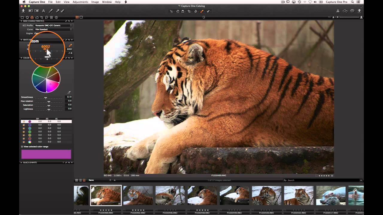 Introduction to Capture One Express 7 | Phase One - YouTube