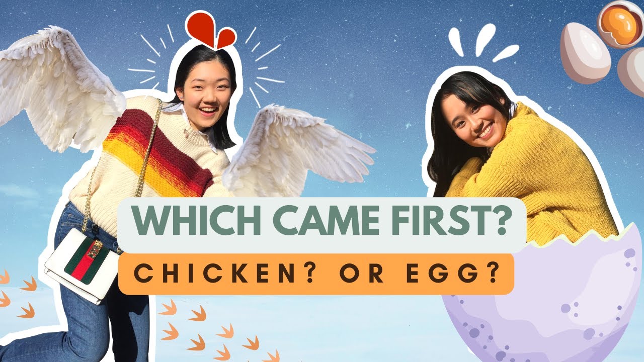 Bible Stories | Which Came First - The Chicken or the Egg? | The ...