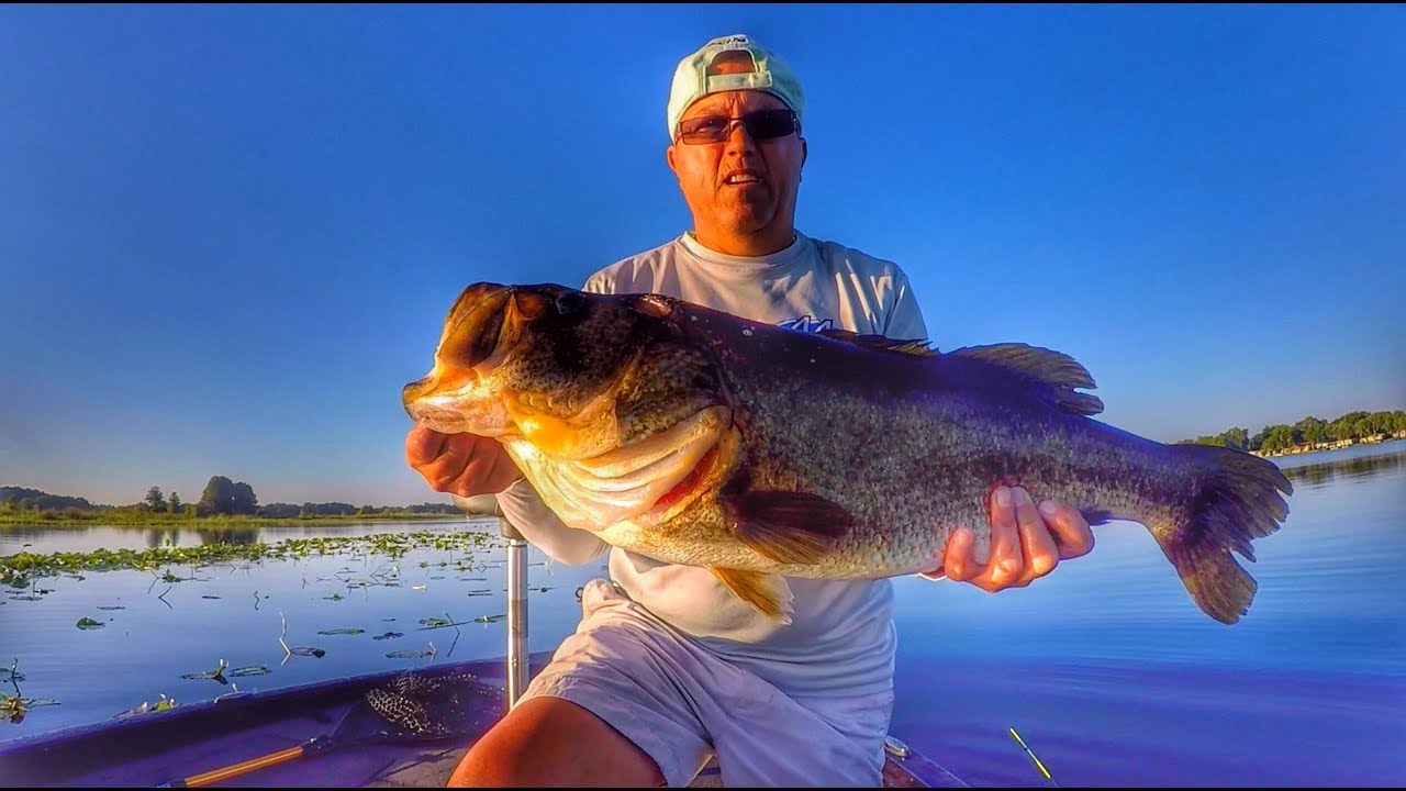 12.12 Pound Bass Caught On Lake Hernando May 19th - YouTube