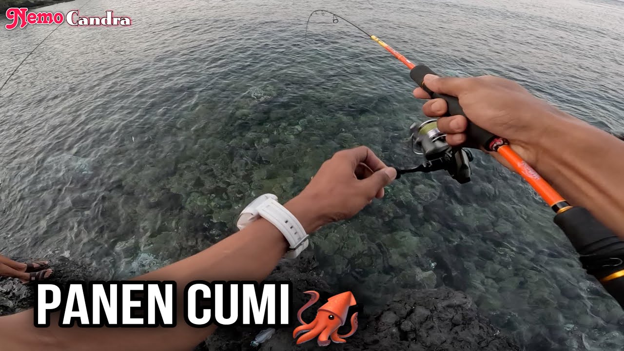 Panen strike mancing cumi di tempat yang jarang dipancing sama orang || Capung 622 + Okuma ...