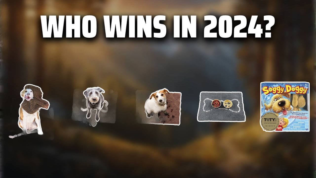 The Top 5 Best Soggy Dog in 2024 - Must Watch Before Buying! - YouTube