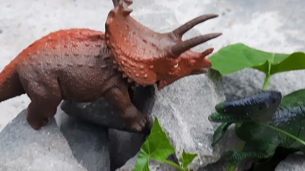 Many animals on the rocks , toy kid - YouTube