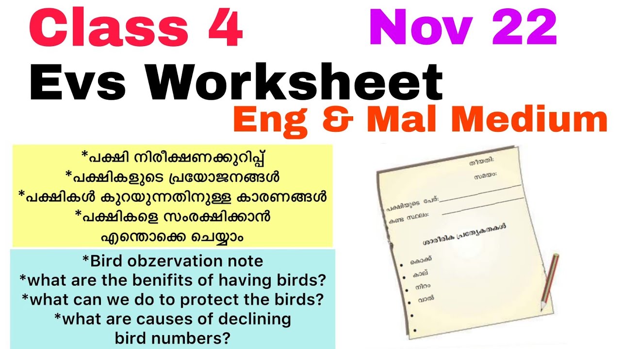 Class 4 Evs Worksheet Nov 22/4 th std evs worksheet 22/11/21/Std 4 Evs ...