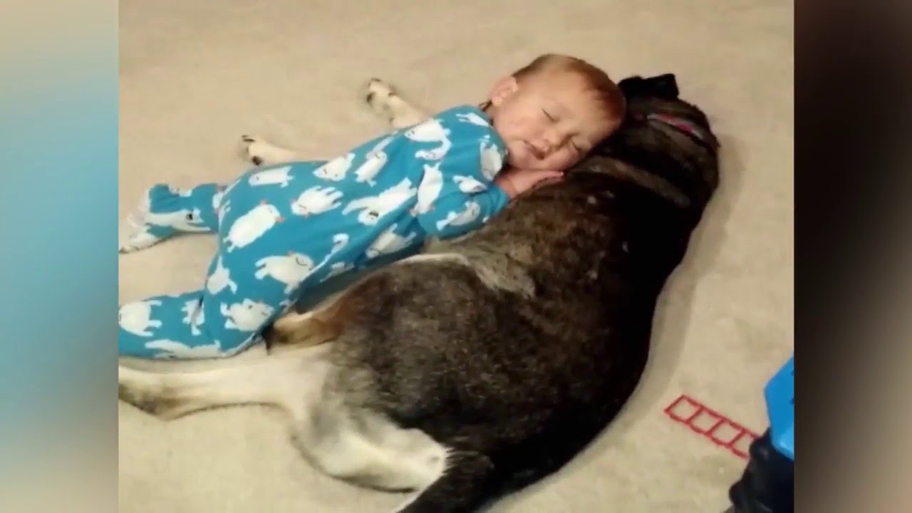 Sleepy Baby Cuddles with Dog - YouTube