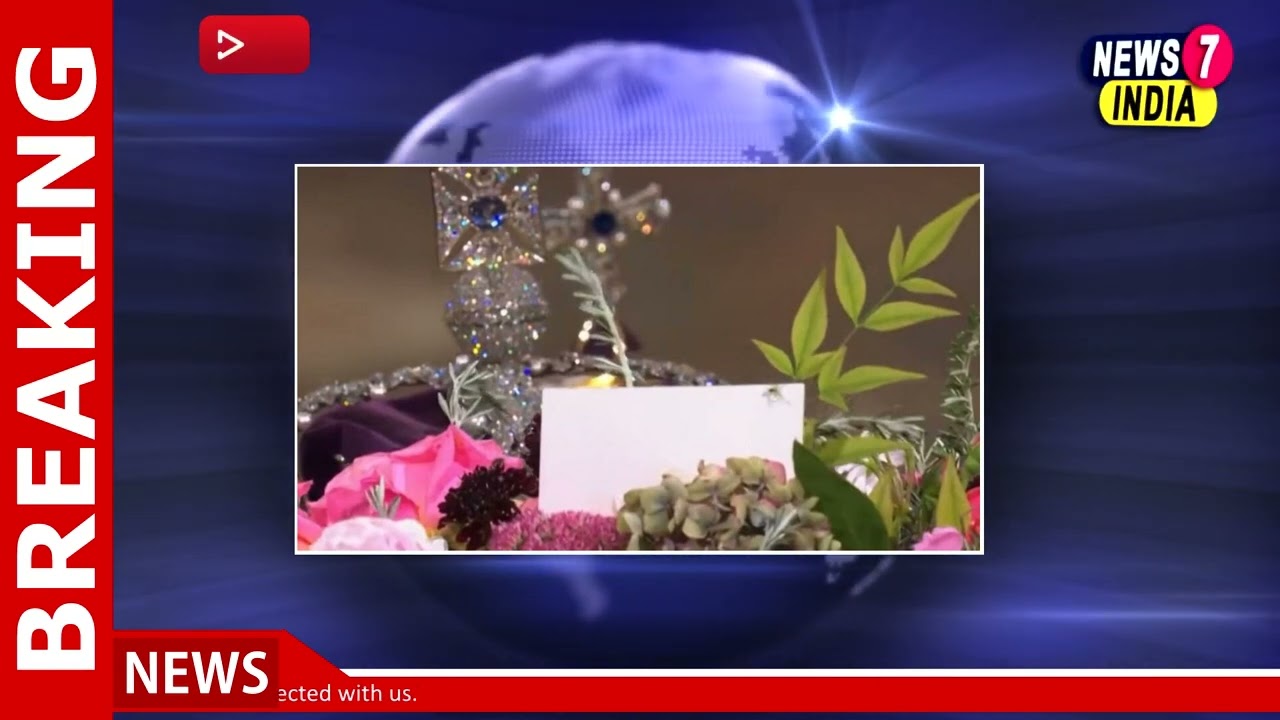 Spider seen crawling across Queen Elizabeth's coffin during her funeral ...
