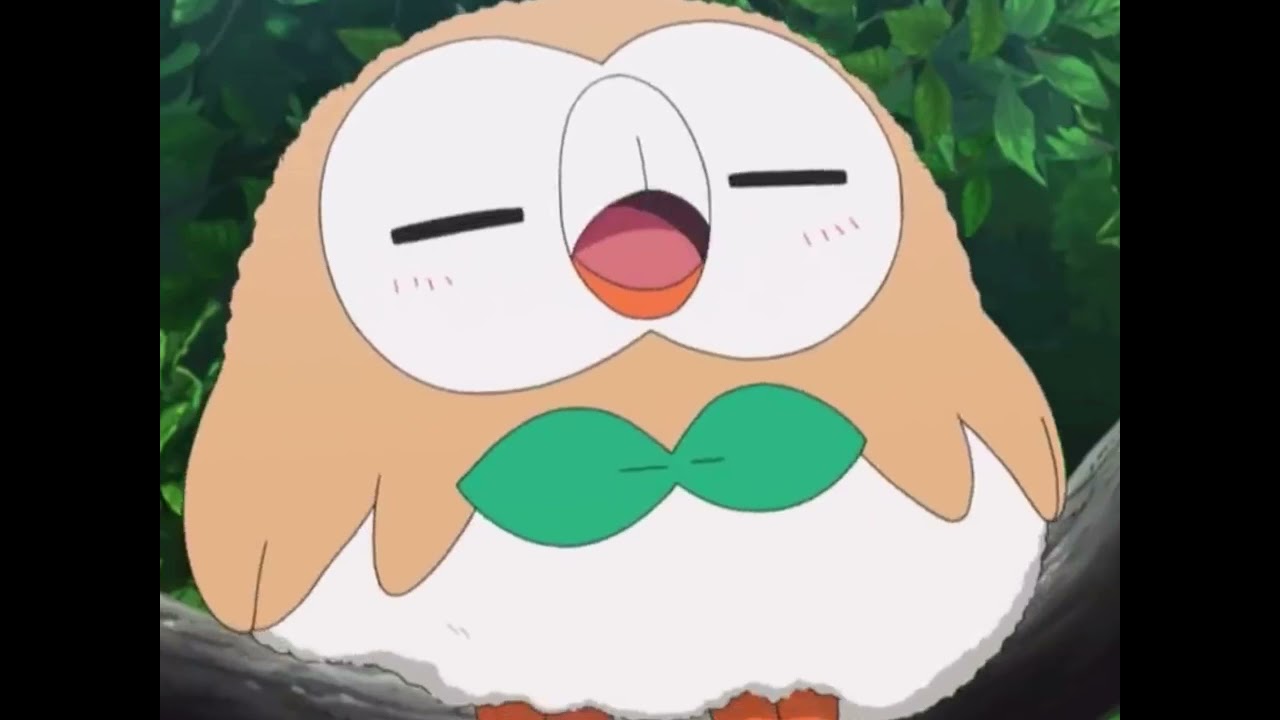 I have no content ideas so instead you get some funny Rowlet pictures ...