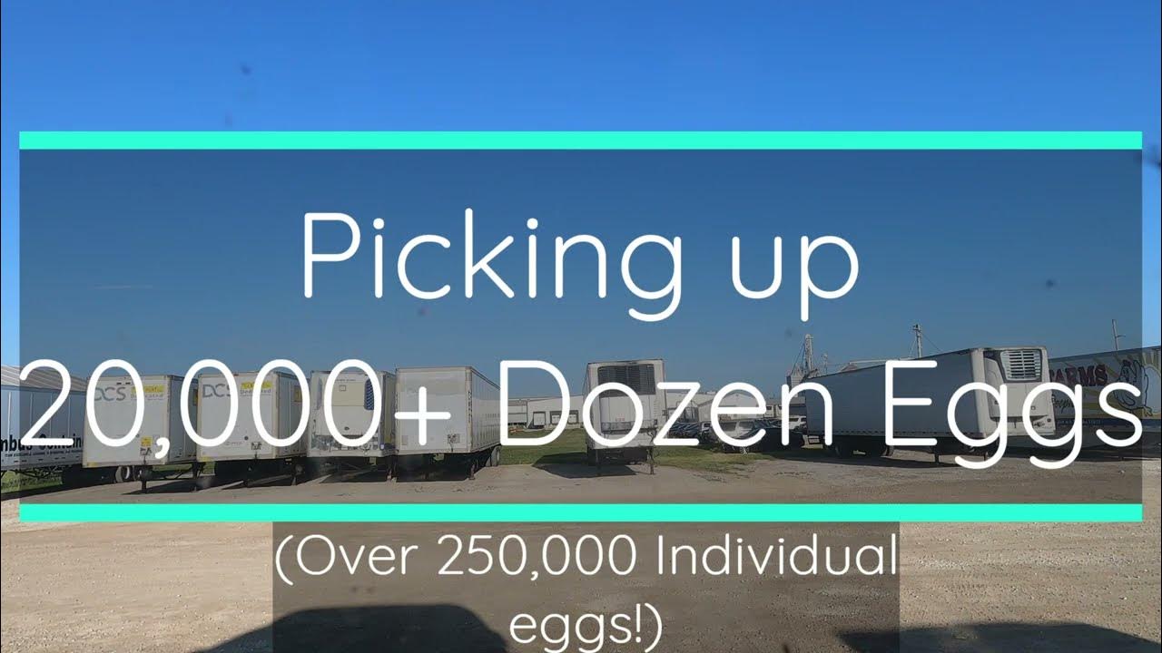 Eggs Youtube