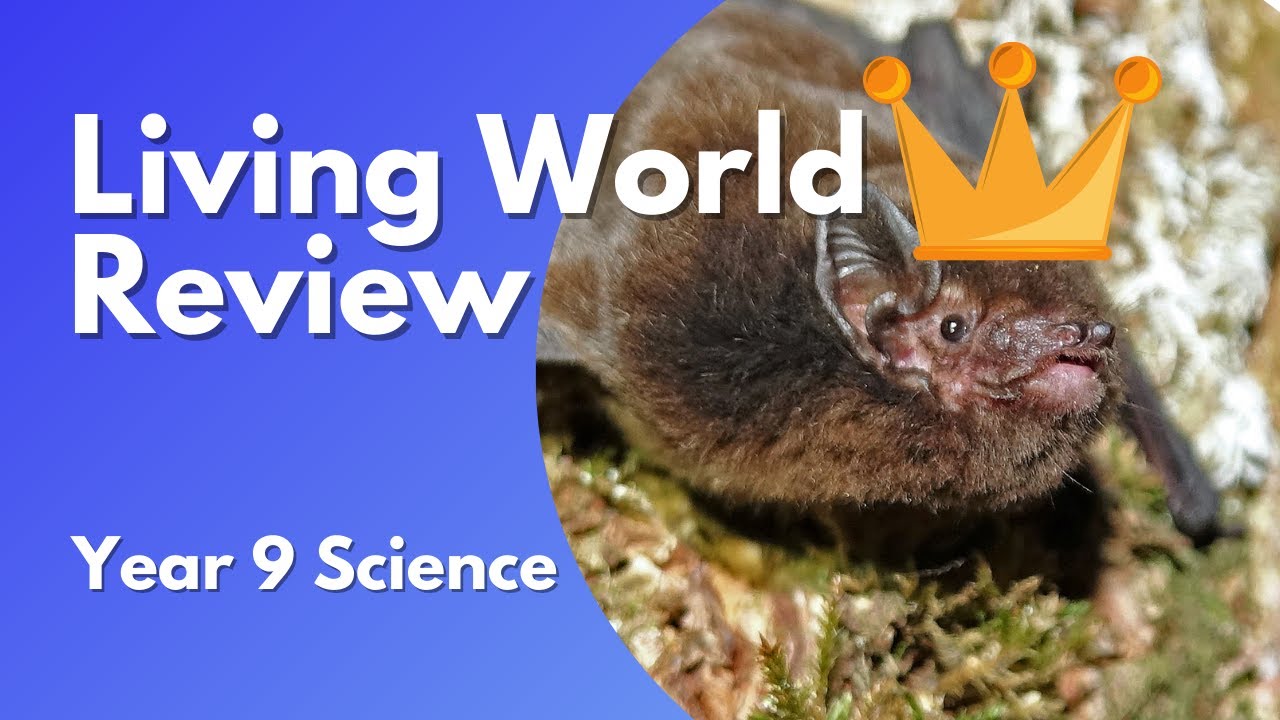 Reviewing The Living World | Year 9 Science 2021 - YouTube