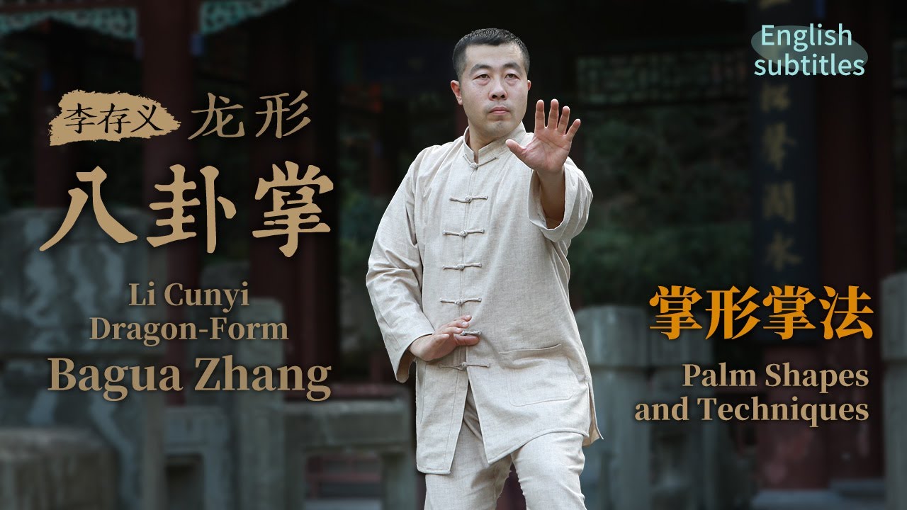 龙行八卦掌基本功之掌形掌法 The basic skills of Dragon-Form Bagua Zhang: Palm Shapes ...