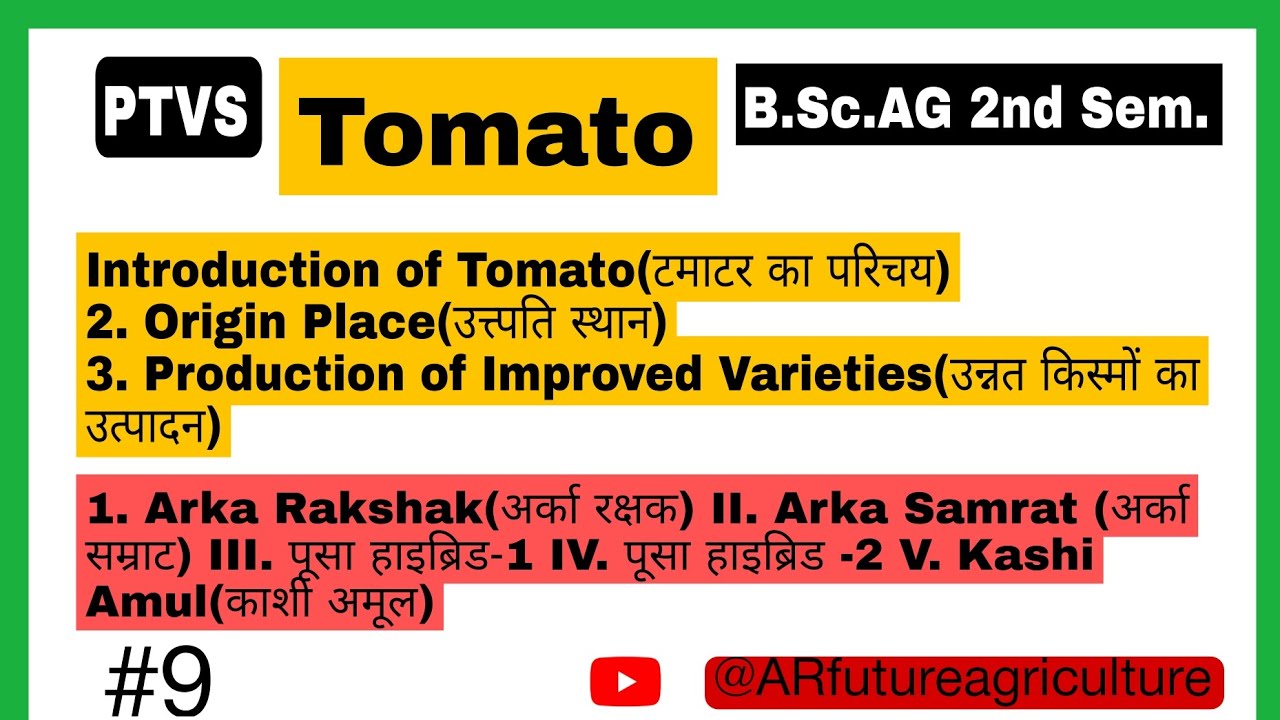 ptvs / introduction of tomato / origin place / varieties / types of ...