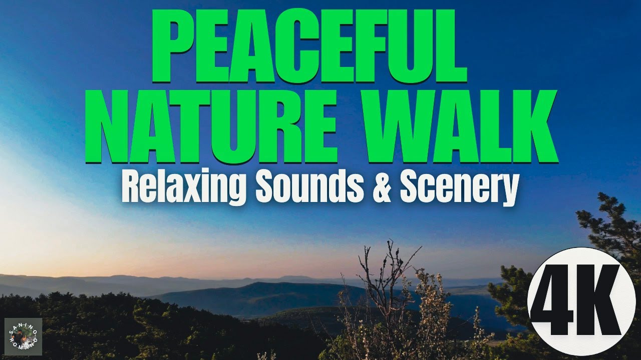 Peaceful Nature Walk in 4K | Relaxing Sounds & Scenery - YouTube