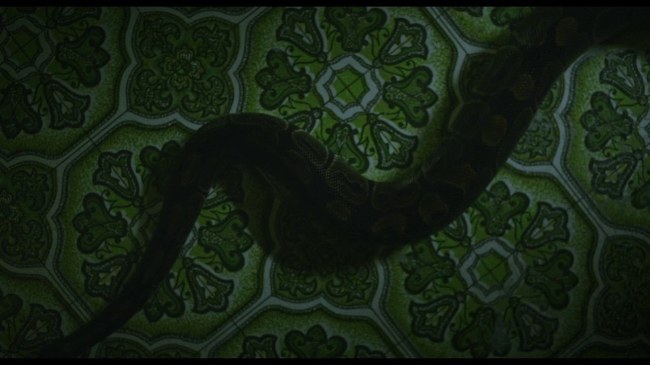 Wild Skin Trailer - YouTube