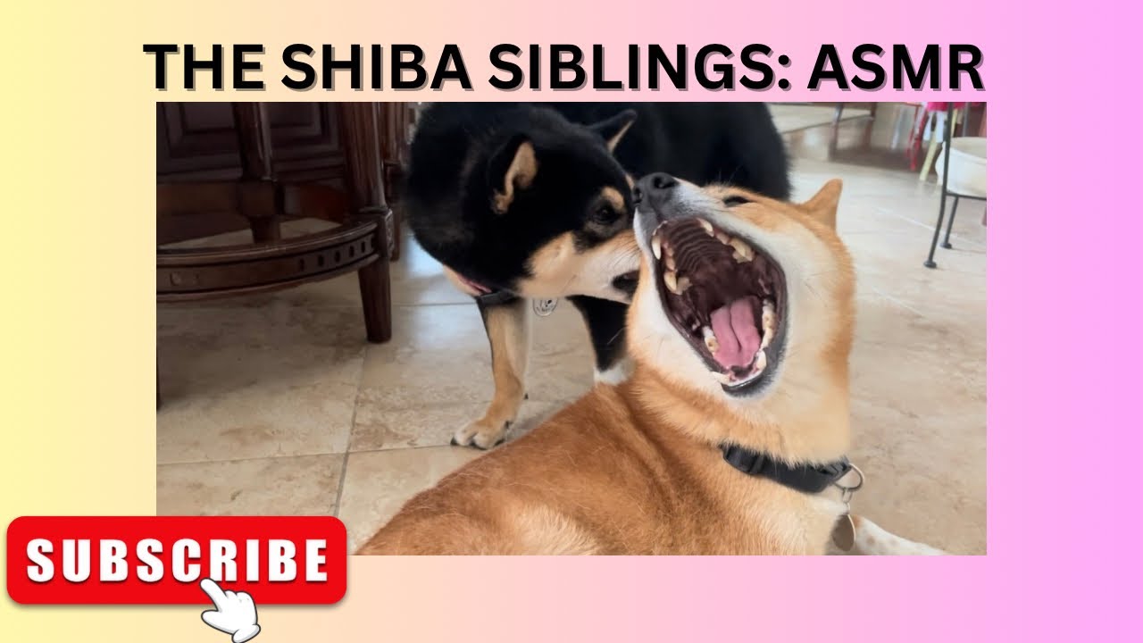 2 Minute ASMR Intense Ear Cleaning - YouTube