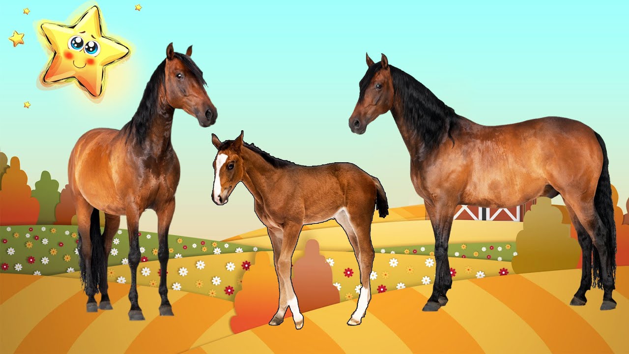 Learn Baby Farm Animals | Learn Names & Sounds Animals | Vocabulary for ...