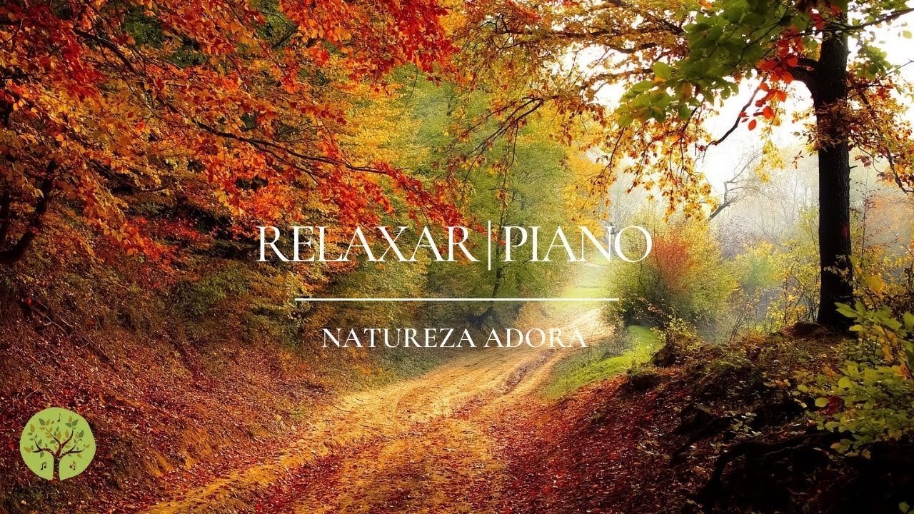 Ambiente calmo | Música profunda e calma para relaxar | Piano ...