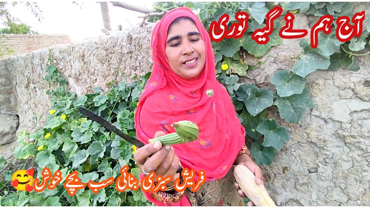aaj humne ghiya turi fresh sabji banai 🥰 sab bacche Khush rukhsana ...