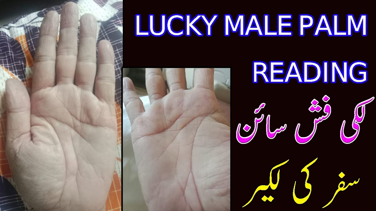 LUCKY MALE PALM READING _FOREIGN SETTLEMENT LINES _ LUCKY FISH SIGN ...