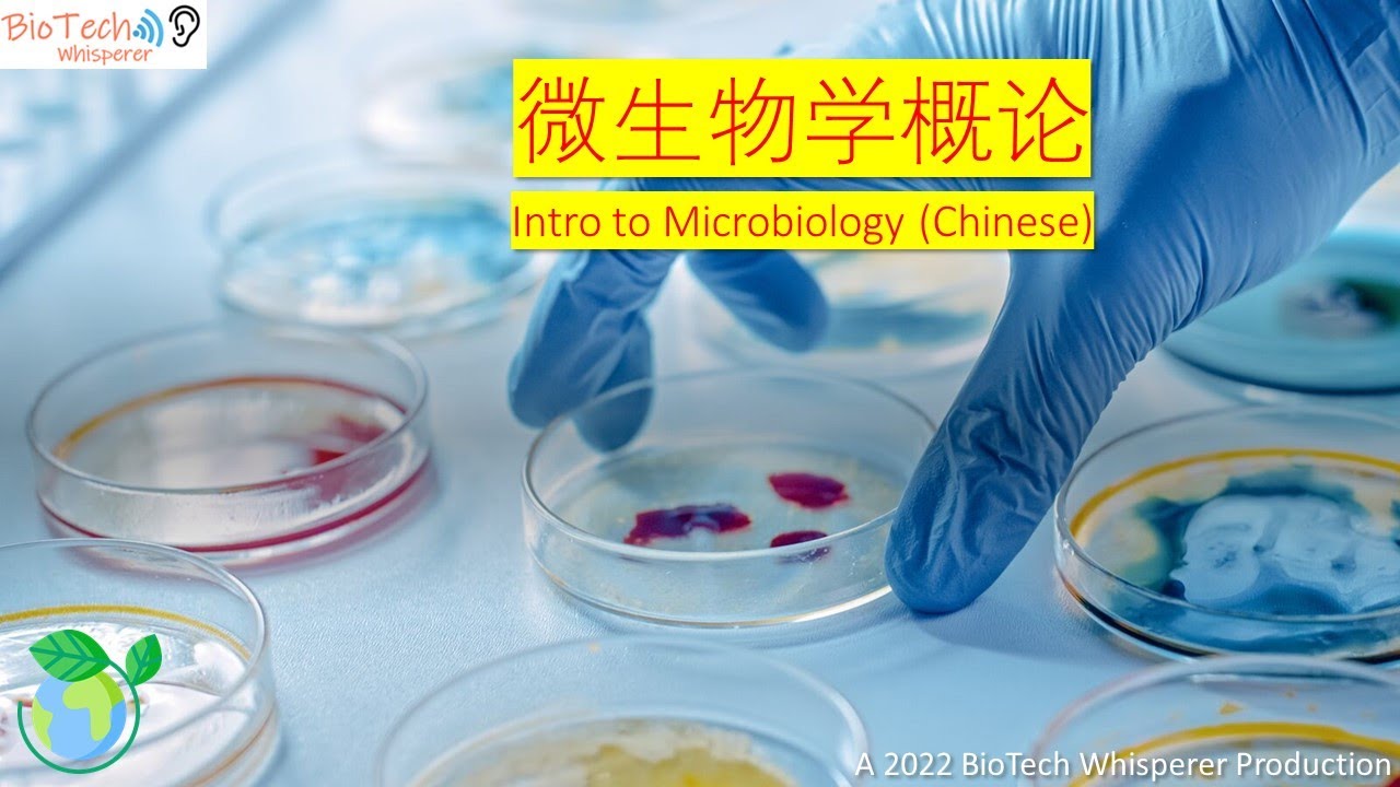 学习微生物学概论 Microbiology Explained (Chinese) 在六分钟内 - YouTube
