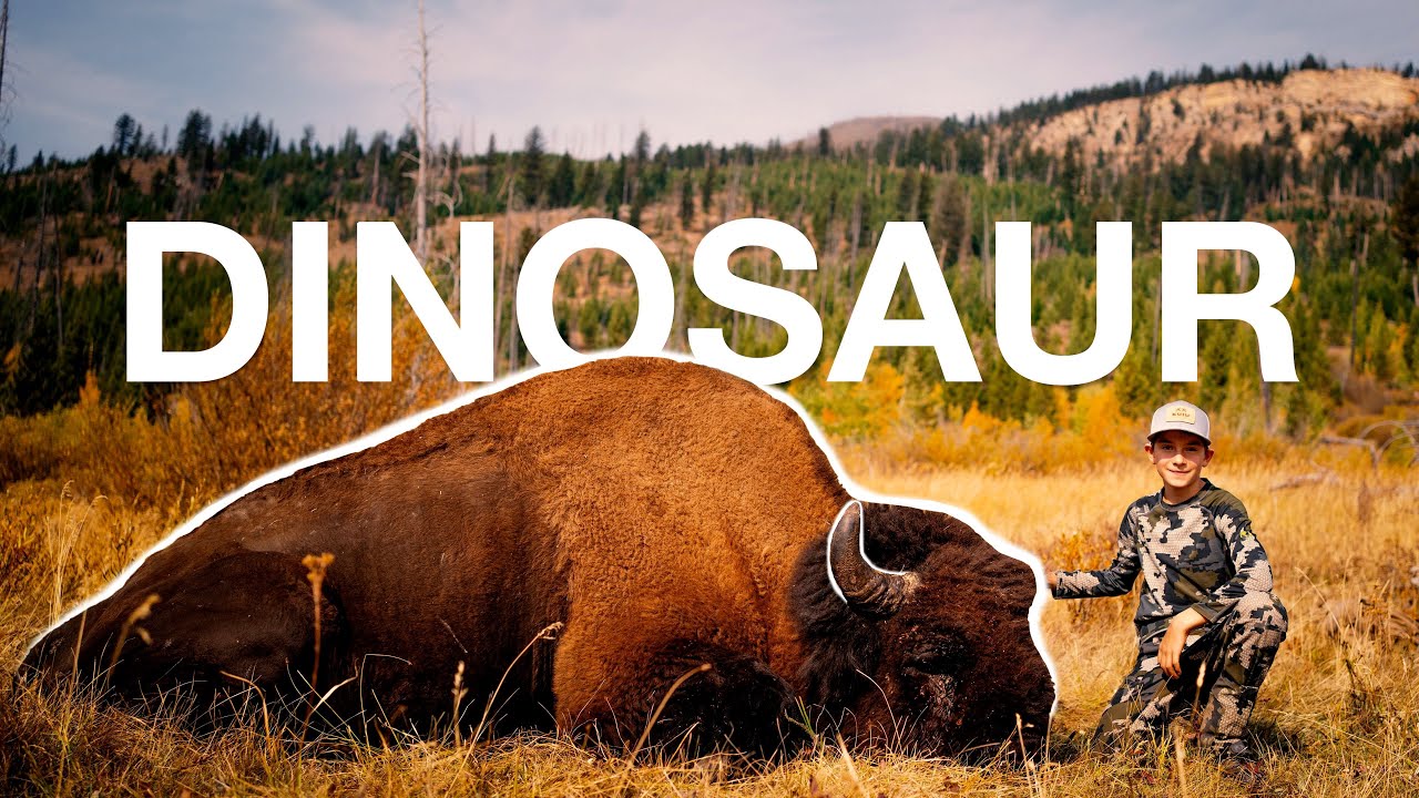 Montana Wilderness Bison and Elk Hunt | THE ADVISORS: Dinosaur - YouTube