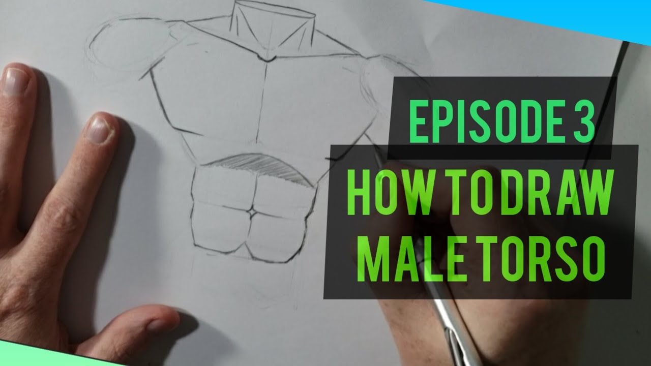 How to Draw the Male Torso | Ep. 3 - YouTube
