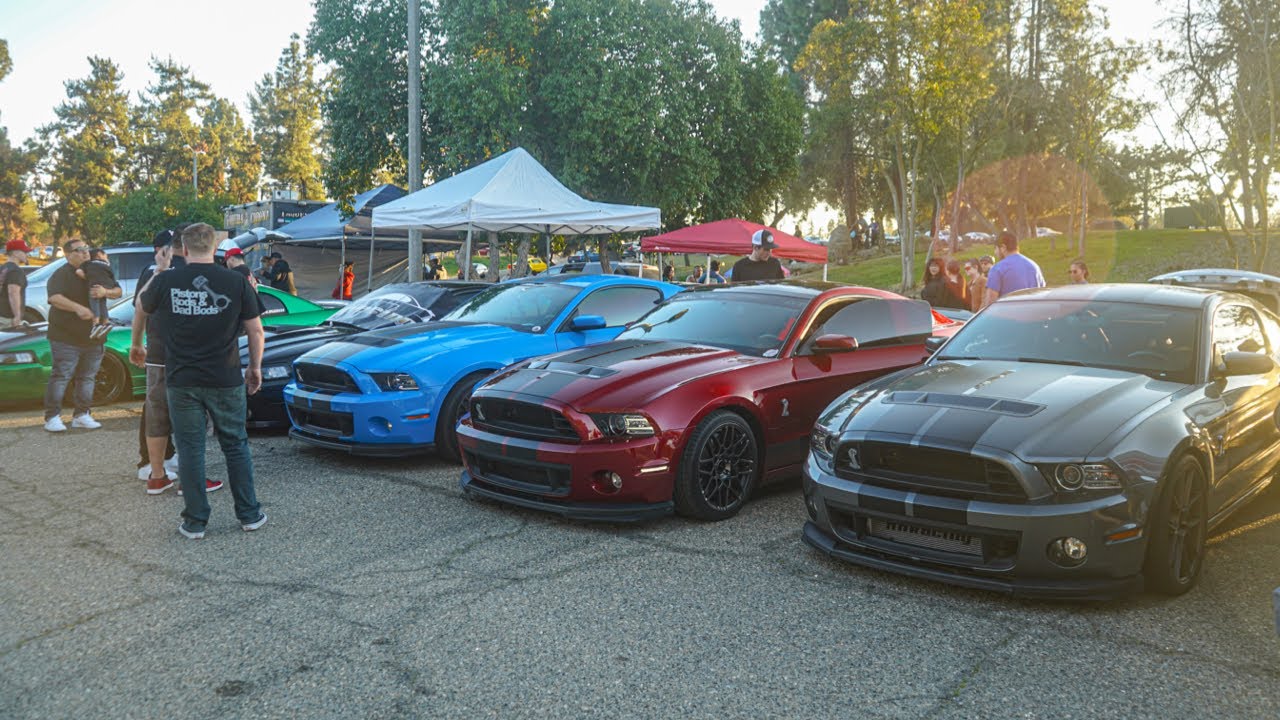 MUSTANGS TAKE OVER CAR MEET WITH SHELBY AND MACH 1 - YouTube
