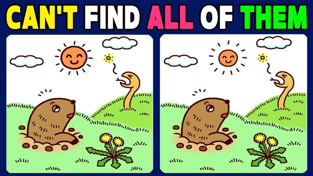 Find the Difference: Can You Find Them All? 【Spot the Difference】 - YouTube