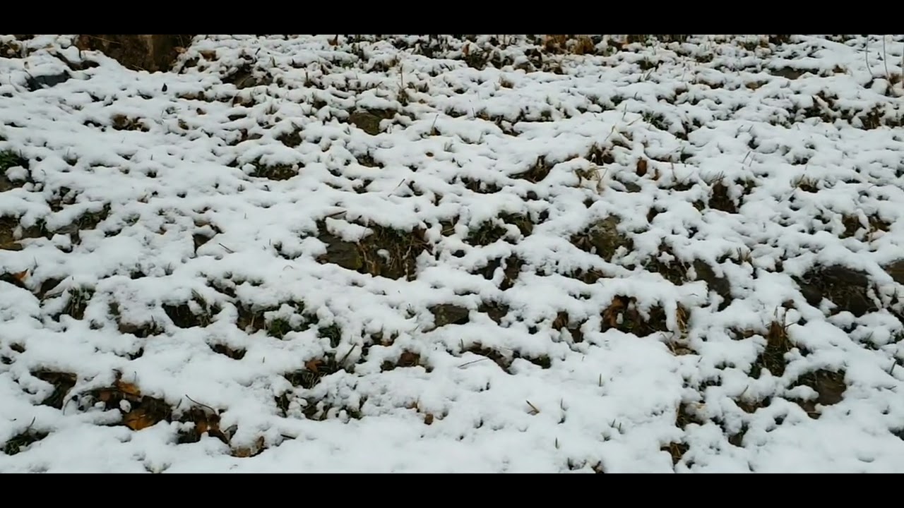 (Classic Music)(Love Story ost :Snow Frolic)Countryside Scenery시골풍경(No ...