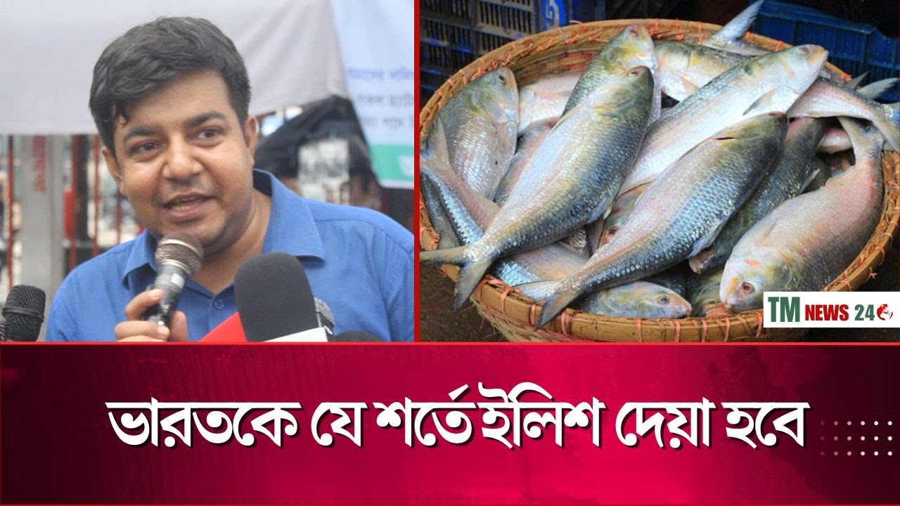 ভারতকে যে শর্তে ইলিশ দেয়া হবে | India News | Tarek Rahaman | TM News ...