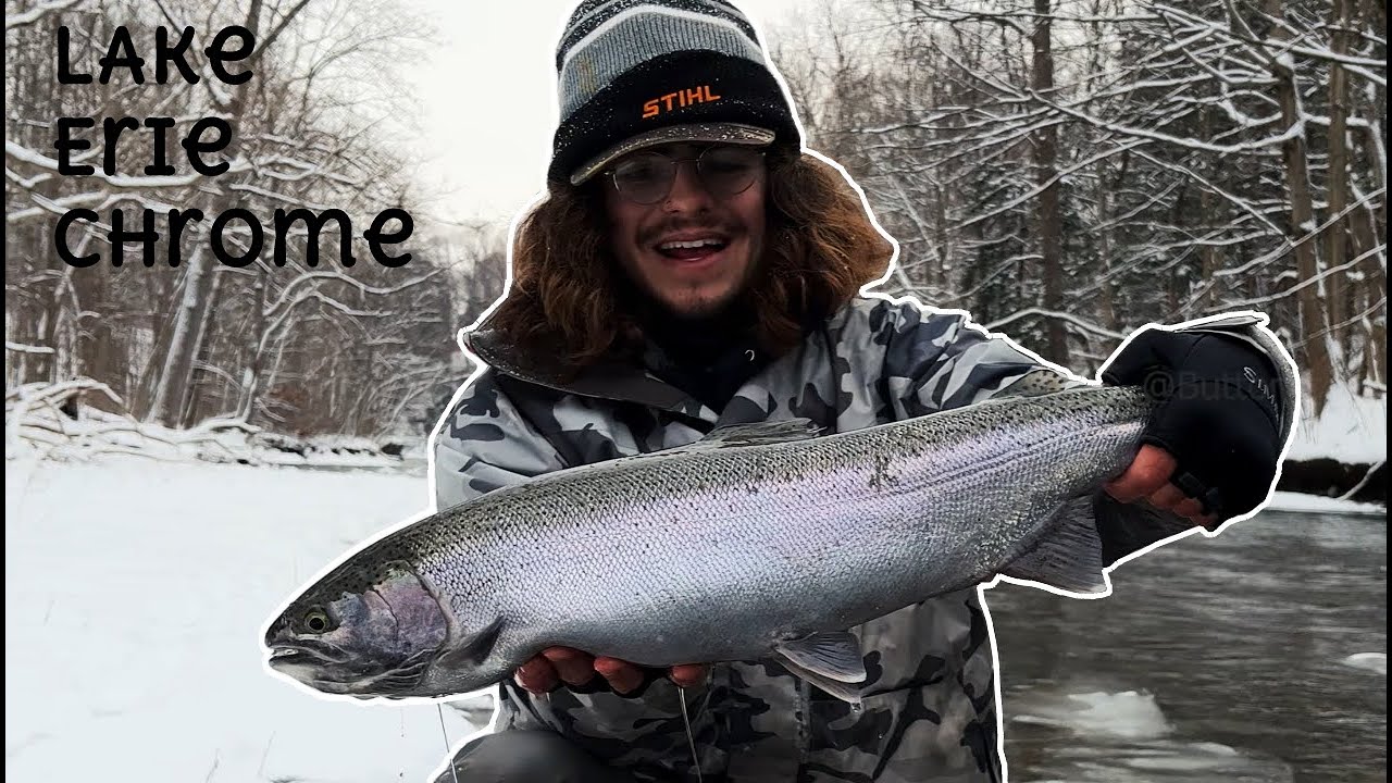 Erie Chrome | Lake Erie Steelhead Fishing 🎣#lakeerie #steelhead #trout ...