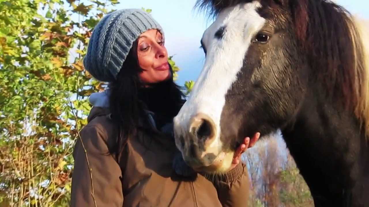 Calamity Horse Trailer Pazzi a cavallo - Sarah & Argo- - YouTube