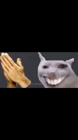 Cat clapping hands while smiling meme - YouTube