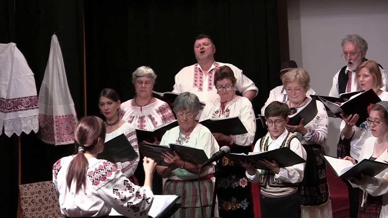 Sârba Pe Loc - Sârba Dance In Place, Romania, mus. & lyr. traditional ...