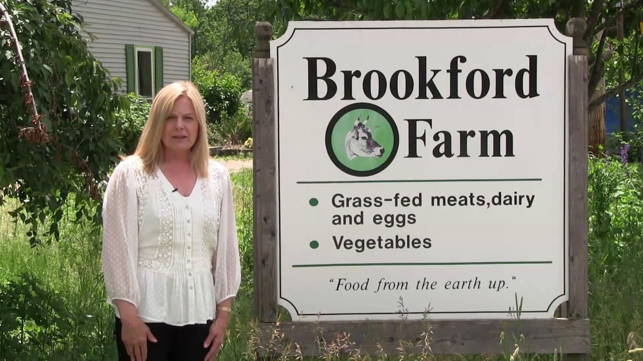 Brookford Farm & Community Supported Agriculture - YouTube