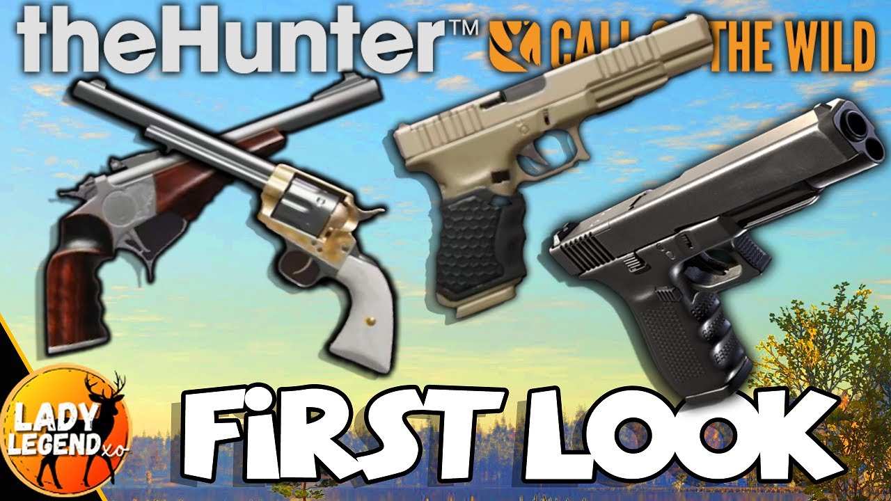 SHOOTING the Assorted Firearms! - Glock 10mm, .45 Rolleston & .243 R ...