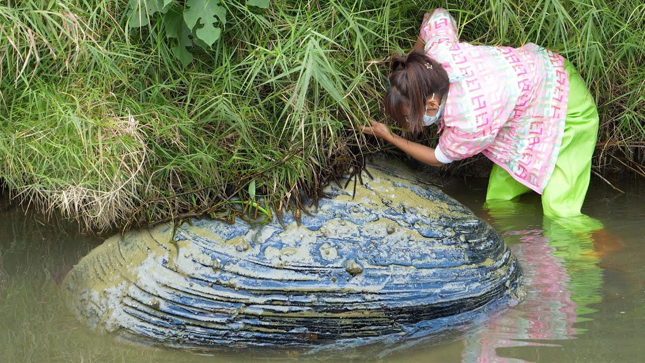 Teen Finds Giant Mutant Clam, 100+ Years Old – Inside? A Pearl Worth ...