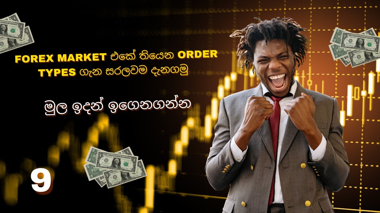 Forex Market Order Types | Forex Order SL / TP | Forex Market එකේ තියෙන ...